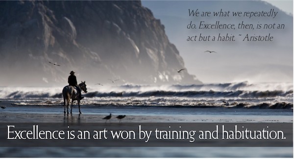 Excellence is the Result of Training and Habituation… : TQ Intentional ...